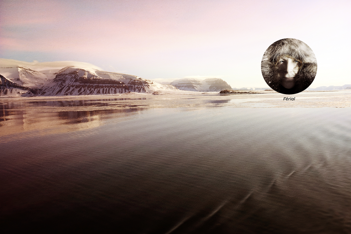 Croisières d'aventures et d'écotourisme par Jean-Louis Étienne